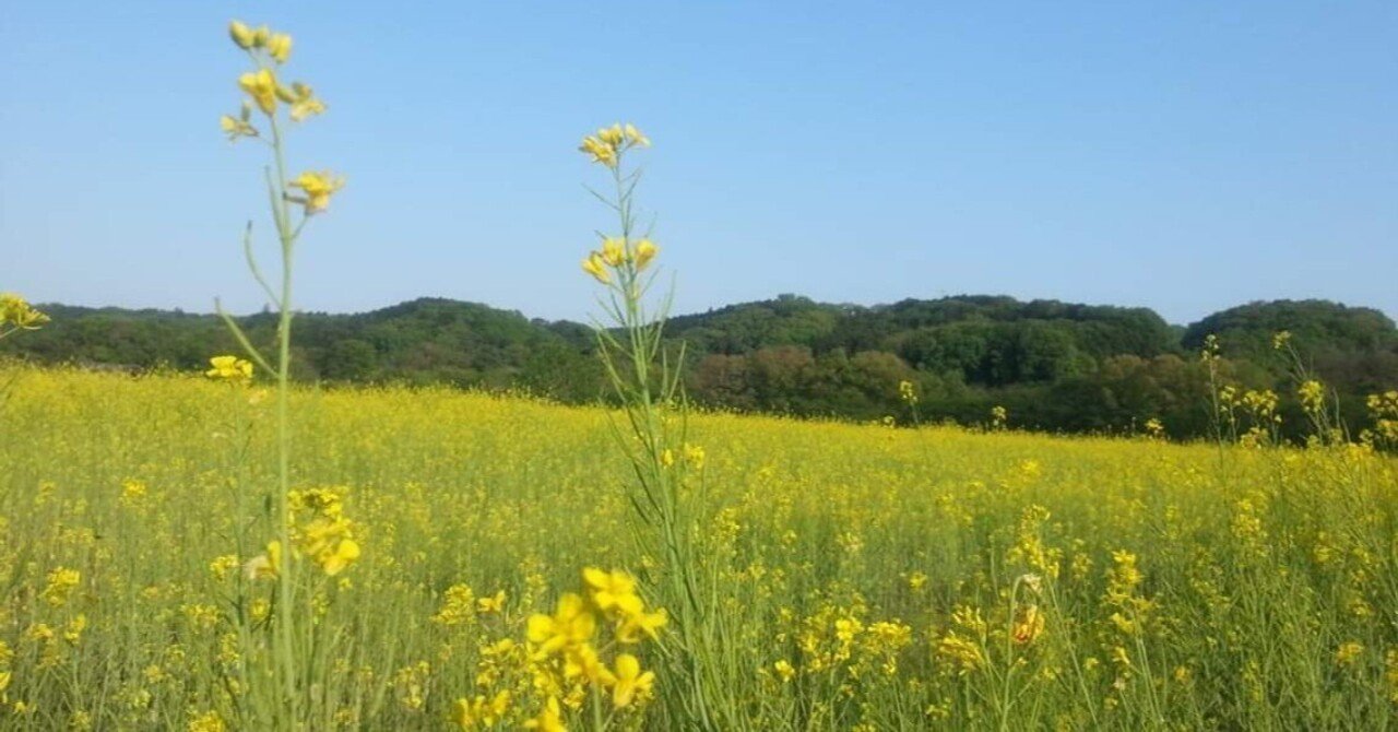 おうし座♉がおうし座らしくいられる季節の開幕！【おうし座♉オンリー占い】3月18日土｜【おうし座♉オンリー占い】｜note