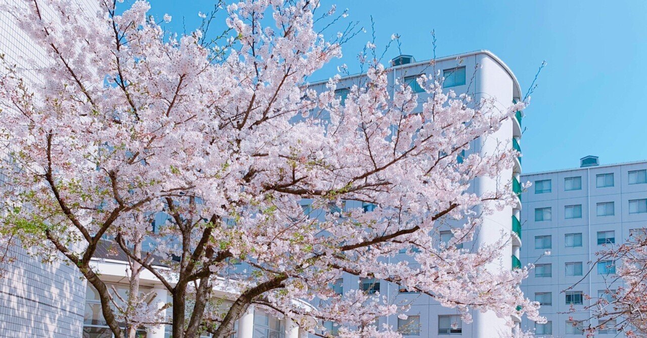 Boys, be ambitious.｜りっちゃん