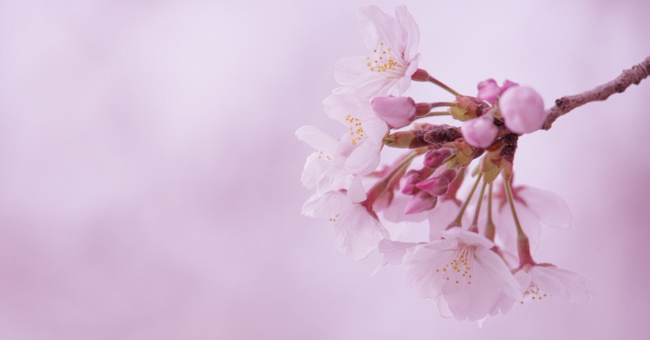 一番カッコ悪い姿で、飛び込んでおいでよ。｜Sunao♡LOVE＆〝感じる〟女性性マーケティング♡｜note