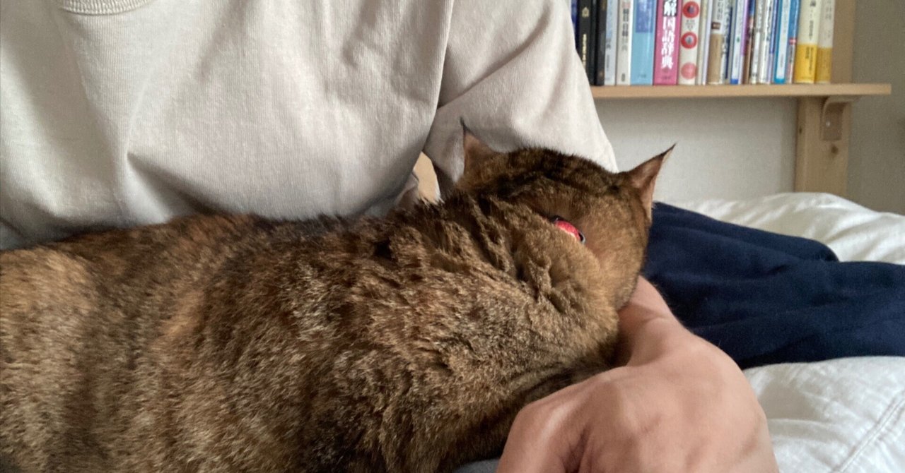 60 受け入れられてる勘所を掴んで自由になる｜青木 直哉 aoki naoya｜note