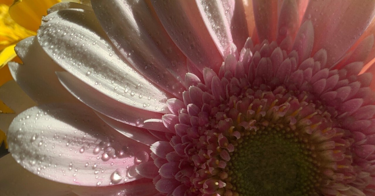 こんなluckyすぎる1日があって良いの？｜anna｜note