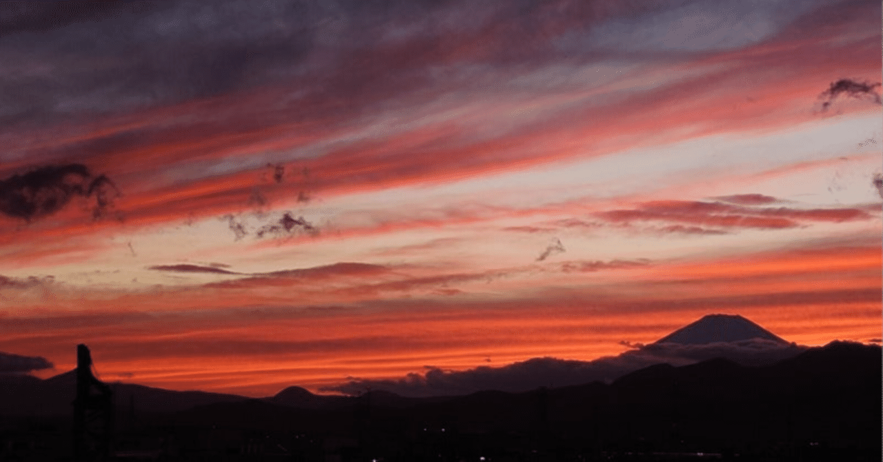 20230317｜ナーコ｜note