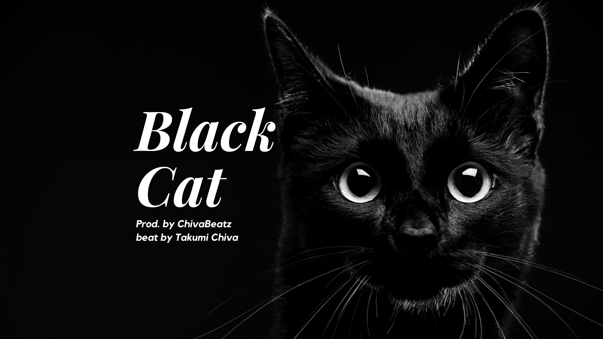 Black Cat｜ChivaBeatz (Takumi Chiva)｜note