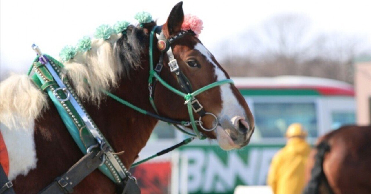 3/18 12R ばんえい競馬 データ予想(無料)｜ばんえい競馬完全データ@帯広
