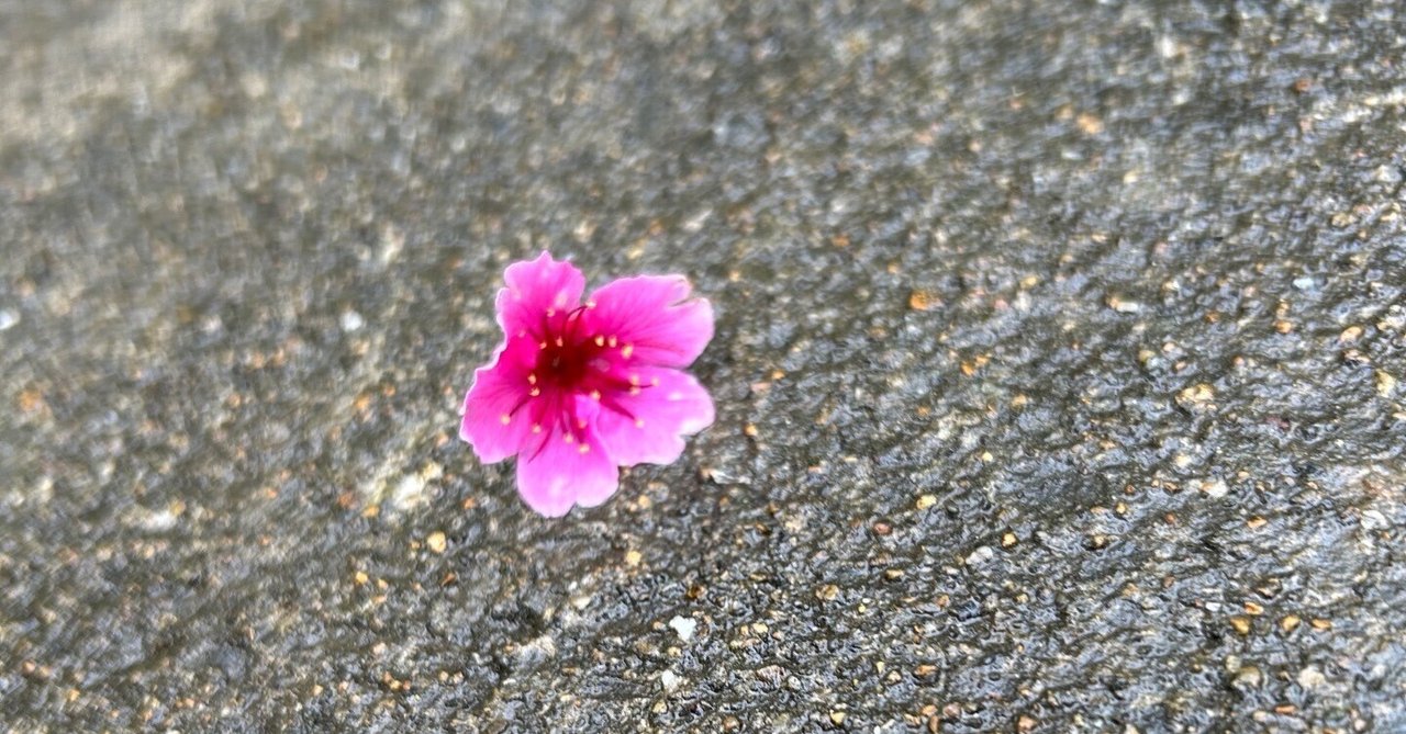 SNSはオーバーシェアリング｜RIKAKO｜note