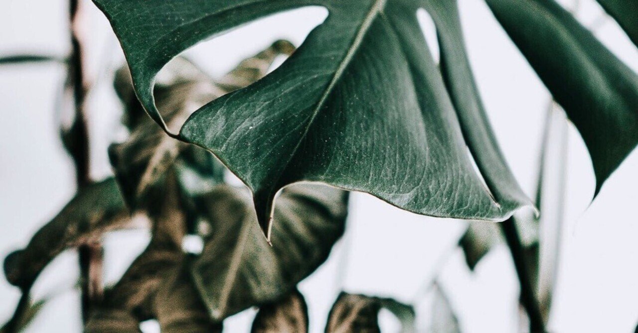 既婚者セレブ美人がマッチングアプリで100人に会った話㊽｜Risa｜note