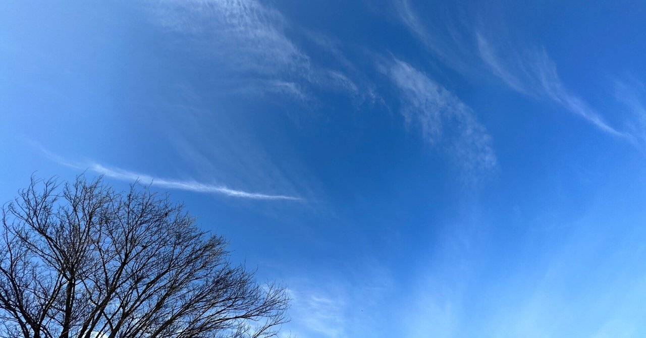 わたしはいま、人間だった｜Chie coco