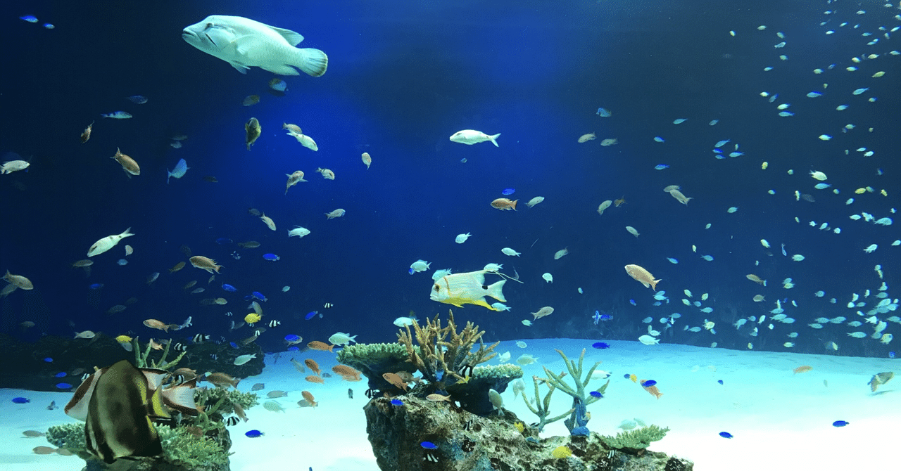 金利を上げれば銀行が死に、上げなければ消費者が死ぬ。｜Hayato Matsui『逆転人生』共著者｜note