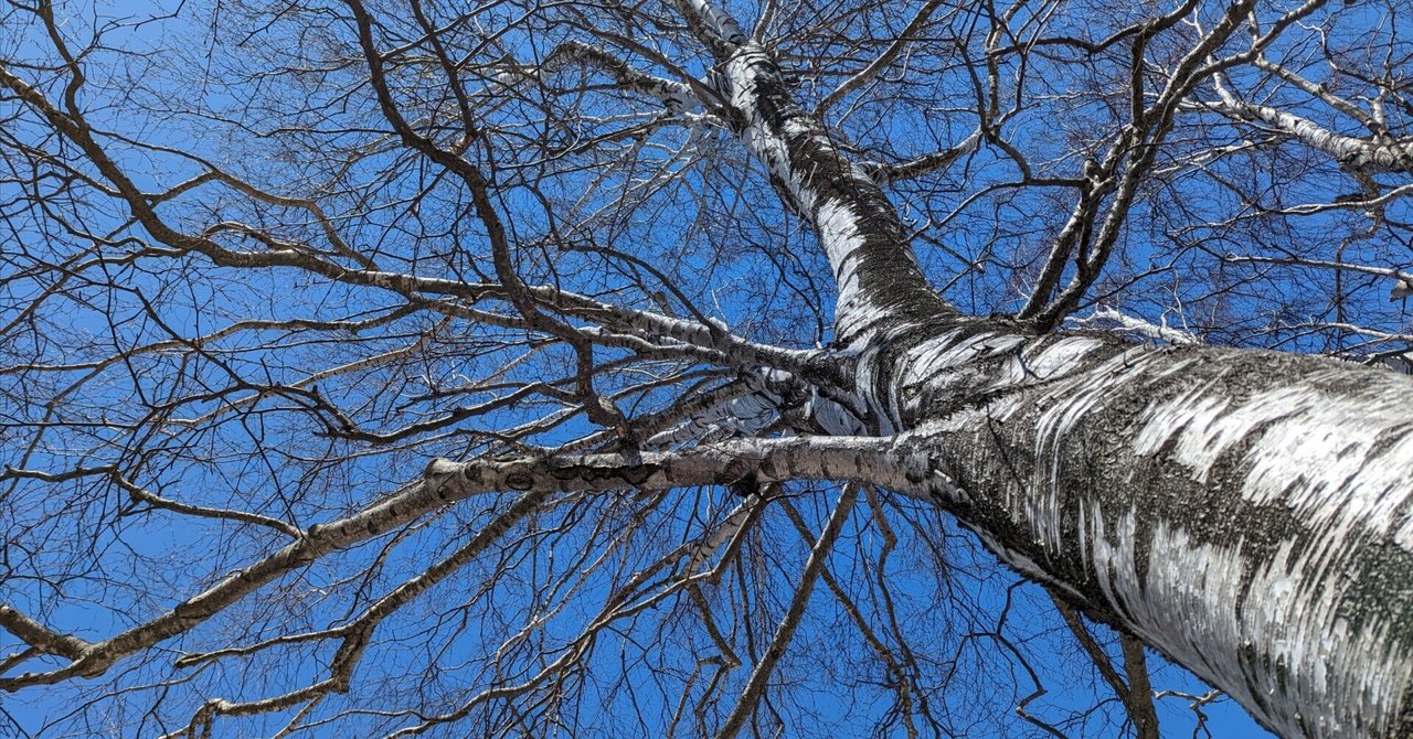 TypeScript 入門の記録（47）プロを目指す人のためのTypeScript入門（31）関数の作り方（1）｜jnkykn