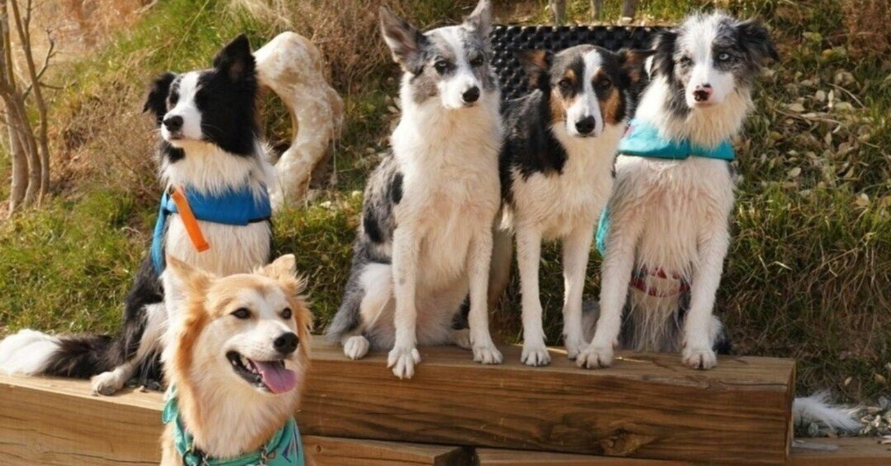 十人十色｜紫唯-SHIYUI-｜note