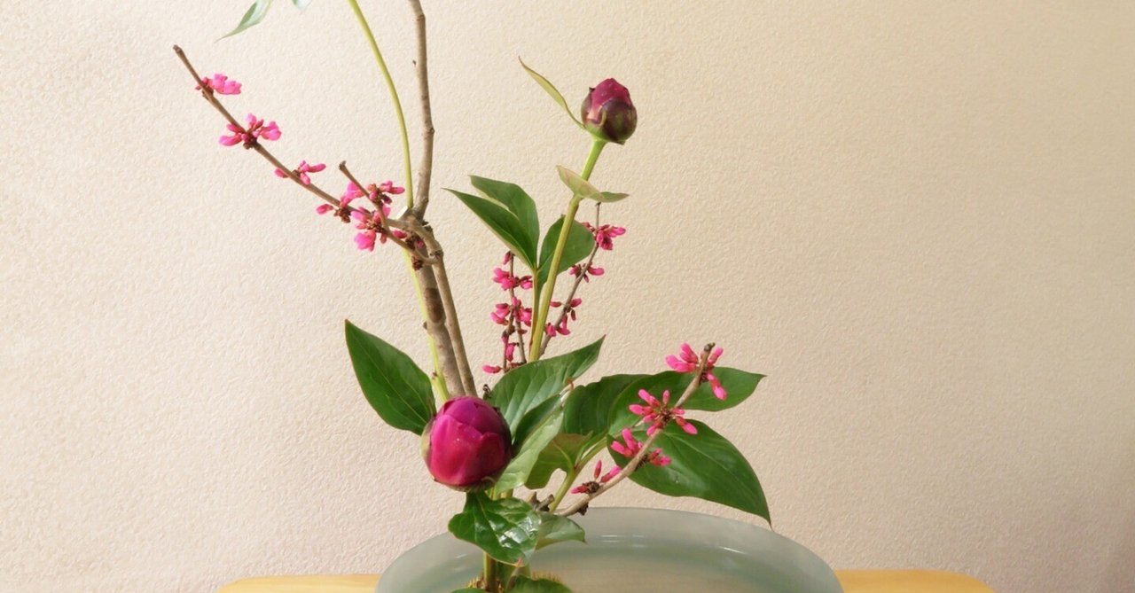 3月のお稽古振り返り｜花と日々 yas｜note