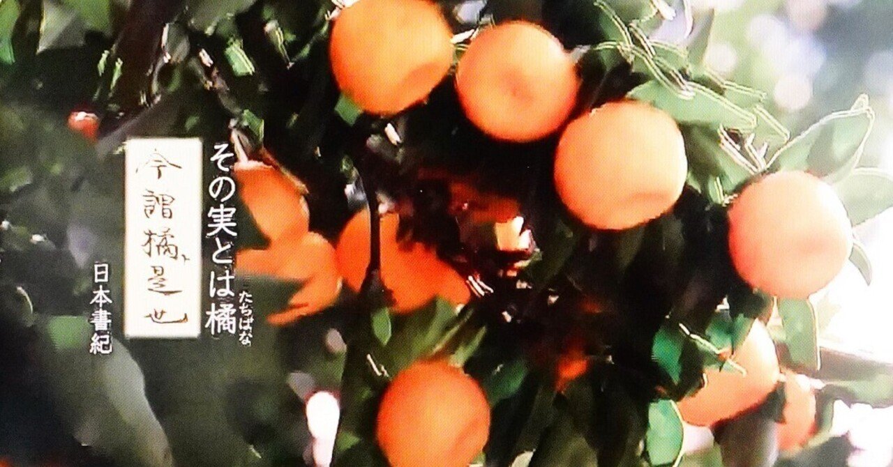 “橘（たちばな）”のルーツを探る！｜oichan｜note