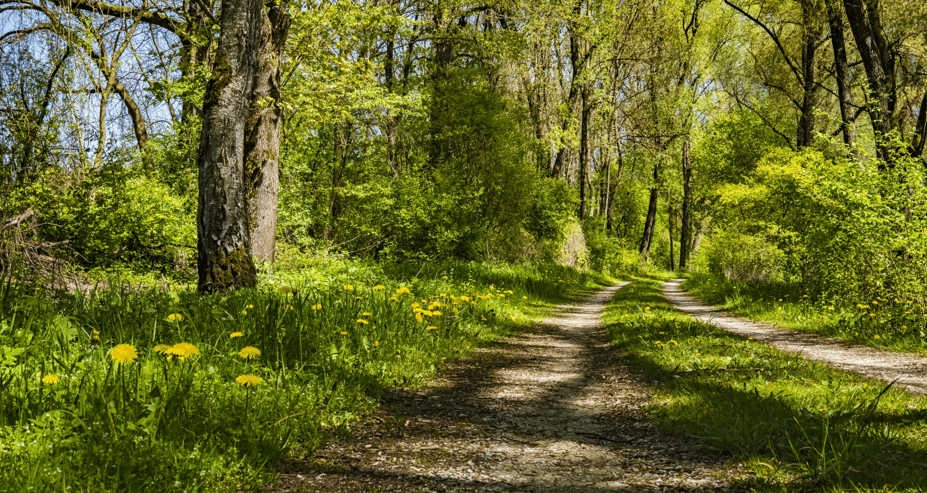 こはるのHappy Life Note｜note