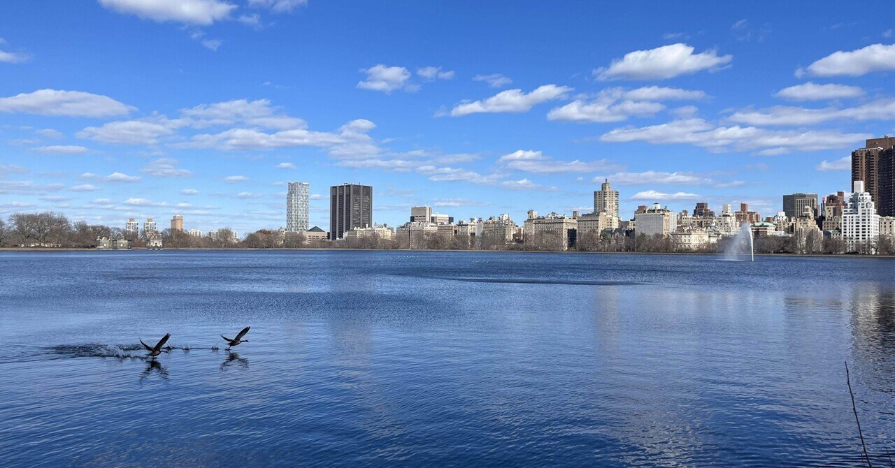 03/19/2023｜Mizuki Fujiwara｜note