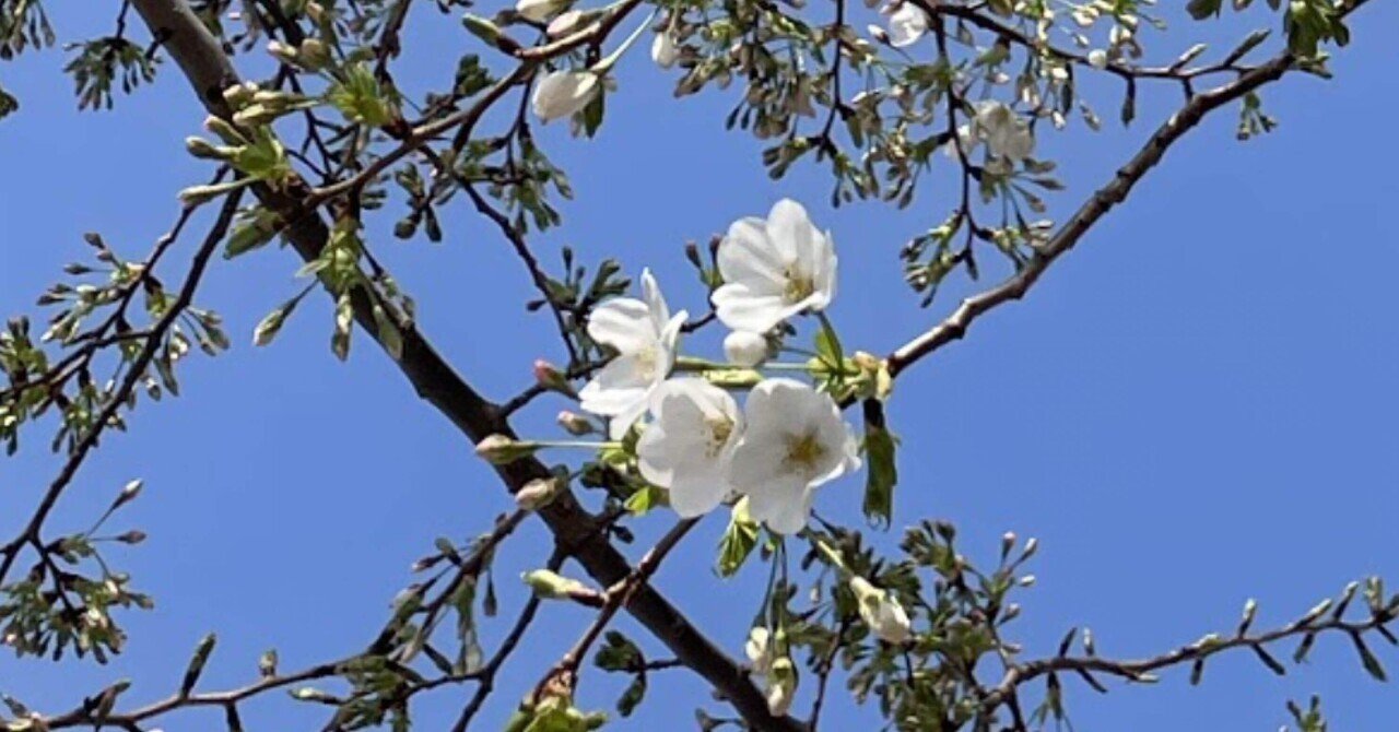 気づくこと｜nagisa_y_｜note