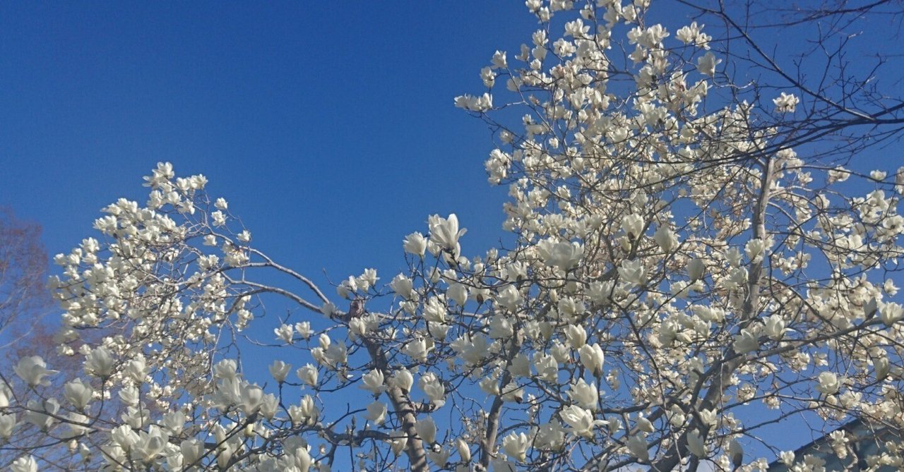 奇跡講座WB実践261 神は私の避難所、安全の砦である｜(Linp&Ruru)本当の自分を知り、本当の自分として生きる