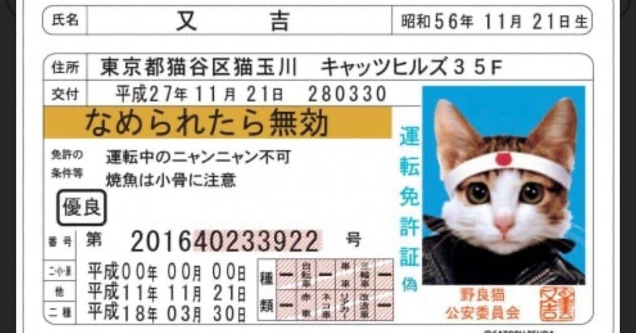 321🔥高知競馬の一発逆転ファイナルノート📓🔥高知10r2050ファイナル連勝 ️｜😼ちゃっぴー新聞😼