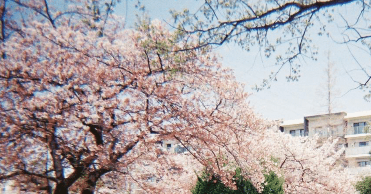 クラリミコンに参加してみた｜NCTRN｜note