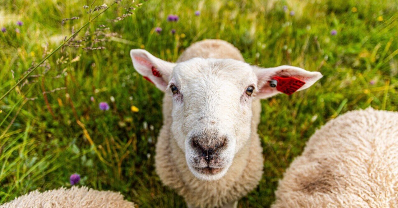 3/22 牡羊座の新月♈️🔥 ｜Yuka｜note