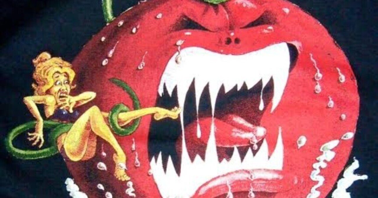 作品に触れるとは｜sora kaze