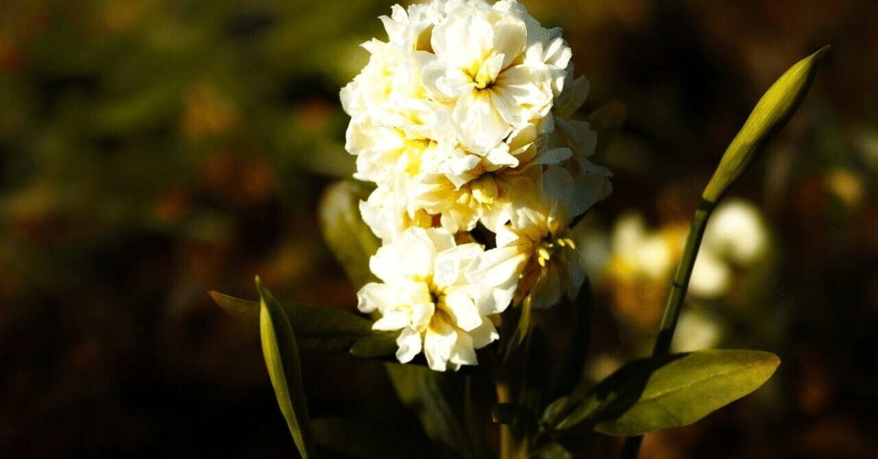 ”やる気”と”できる"は別もの〜やる気がある人ができるのか、できた人にやる気があったのか〜｜Ryosuke Matsusima｜note