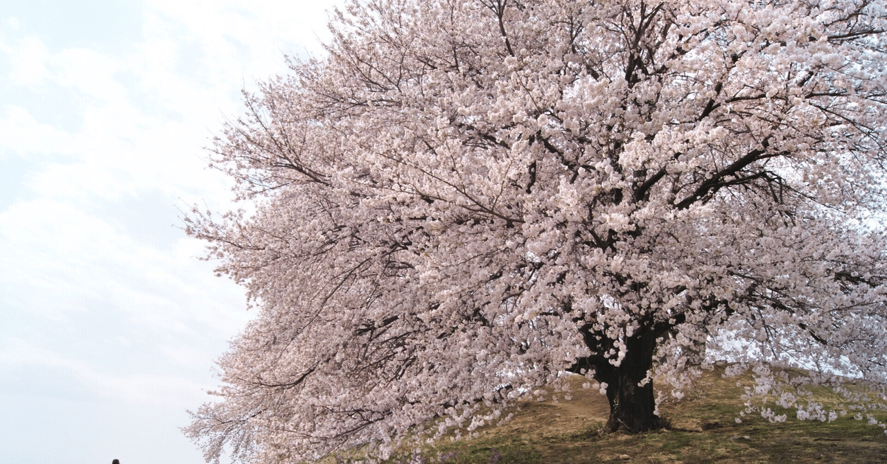 旅note 群馬 沼田｜shinmr｜note