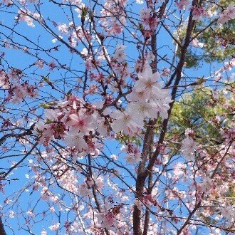 mie-メッセージ｜note