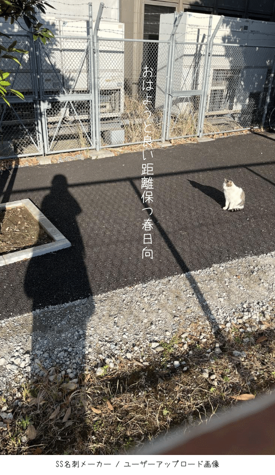 そろそろ友達になれるかな https://youtu.be/fQBsNmbXY98 ライラック杯まであと3日 https://note.com/minhai/n/nceabb79b702c ...