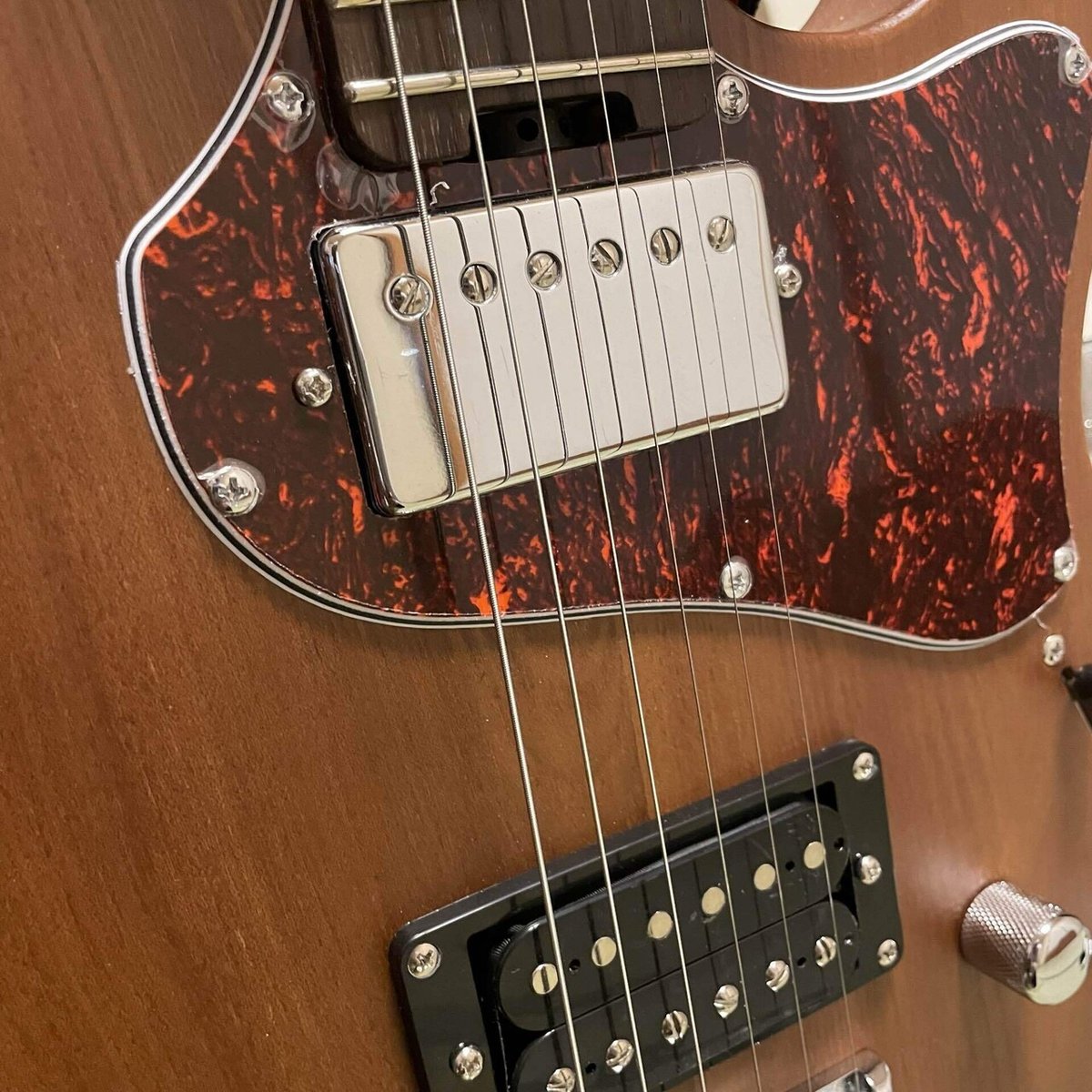 ESPとGrassRoots / 2つのTHROBBERモデル比較🎸｜#23Shibata