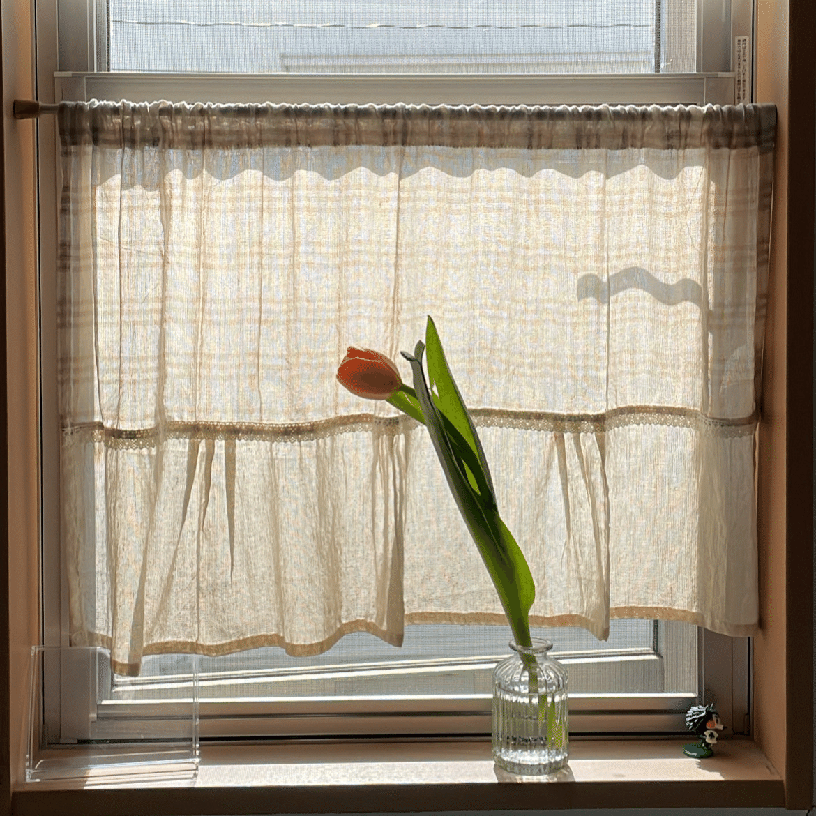 20230322｜める｜note