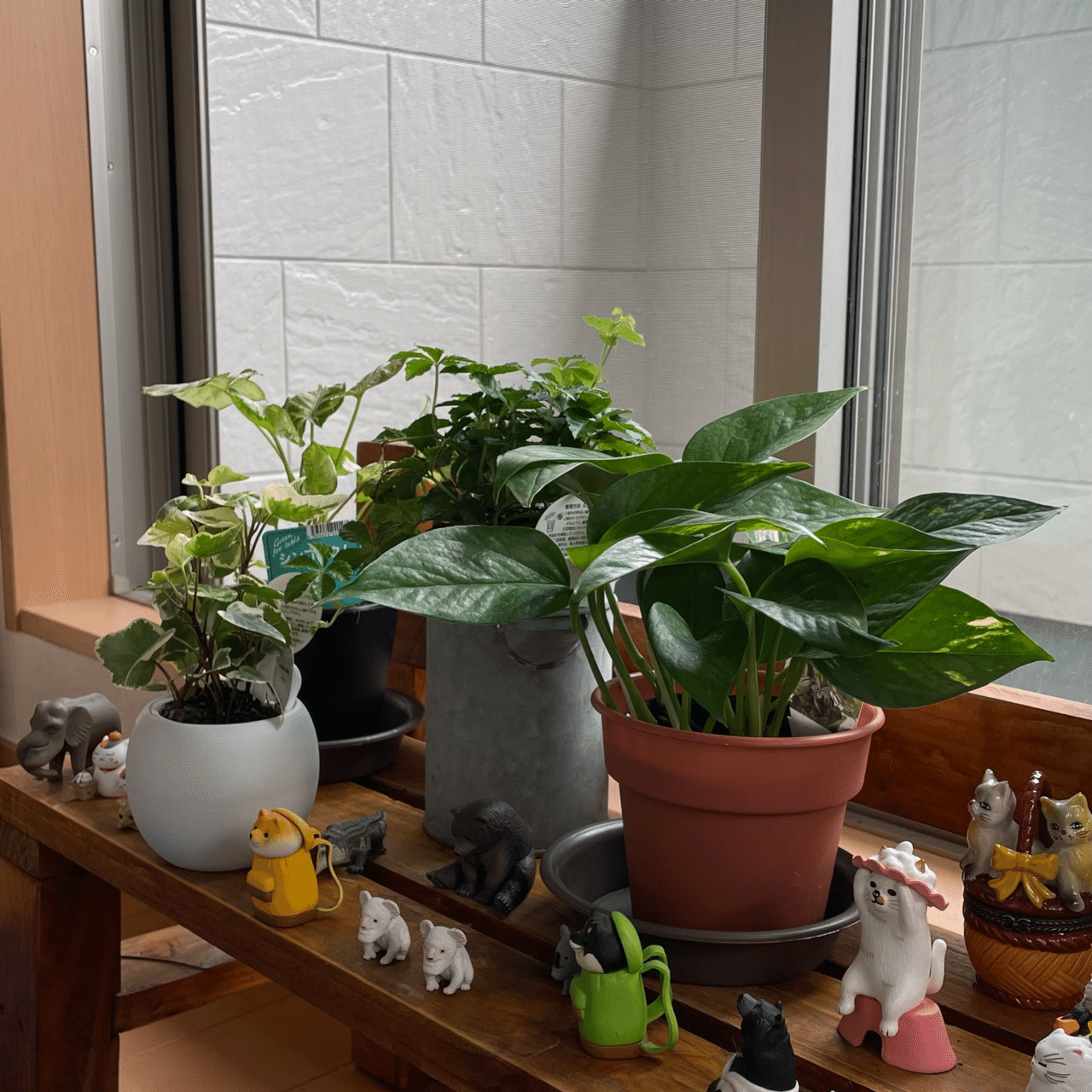 20230322｜める｜note