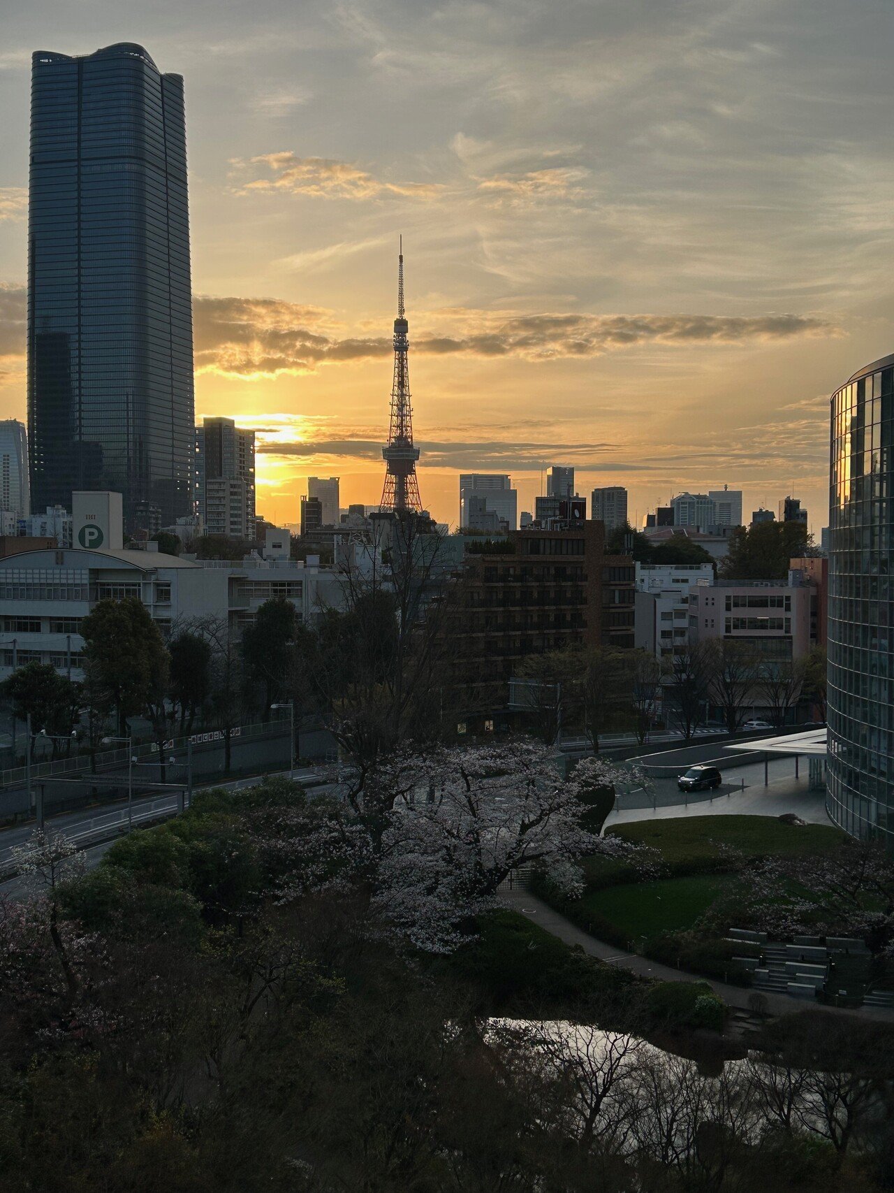 「あしたは一日寝てたらいいわよ」という母の言葉に甘えて(従って)、今日は惰眠を貪りました。しばしば惰眠に憧れていたのでよぎるあれこれ振り切って。「また次の日から始めれば」という言葉通り、明日に