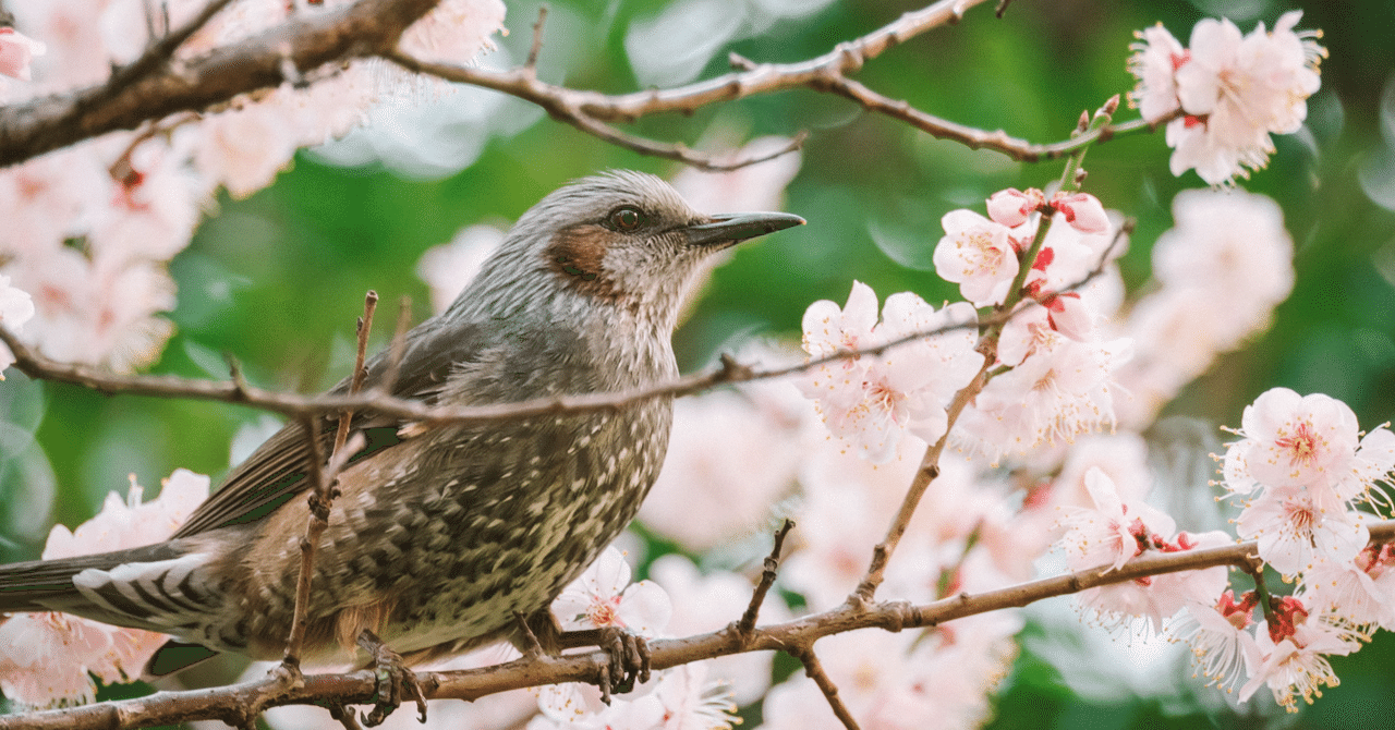 【Python】pyaudioの導入方法｜星杜なぎさ