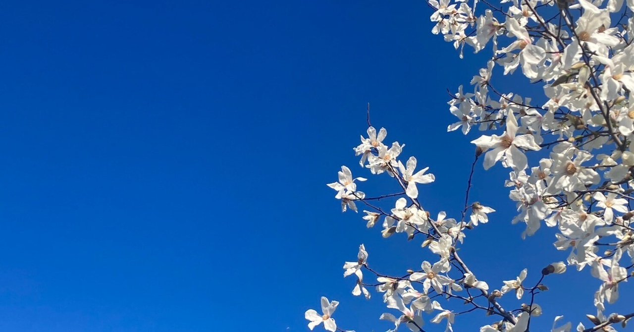 親友の悩み相談～依存からの自立～｜相談base-azu@ライフ/キャリアコンサルタント｜note