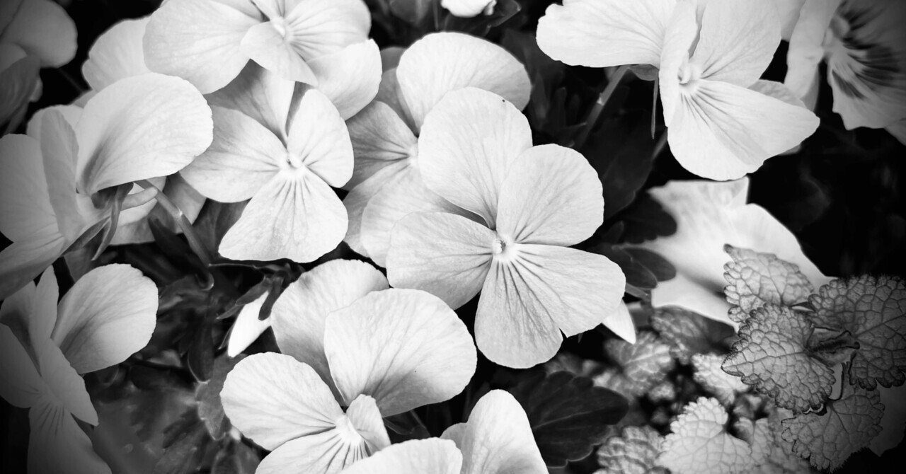 空に 《詩》｜seiji_arita｜note