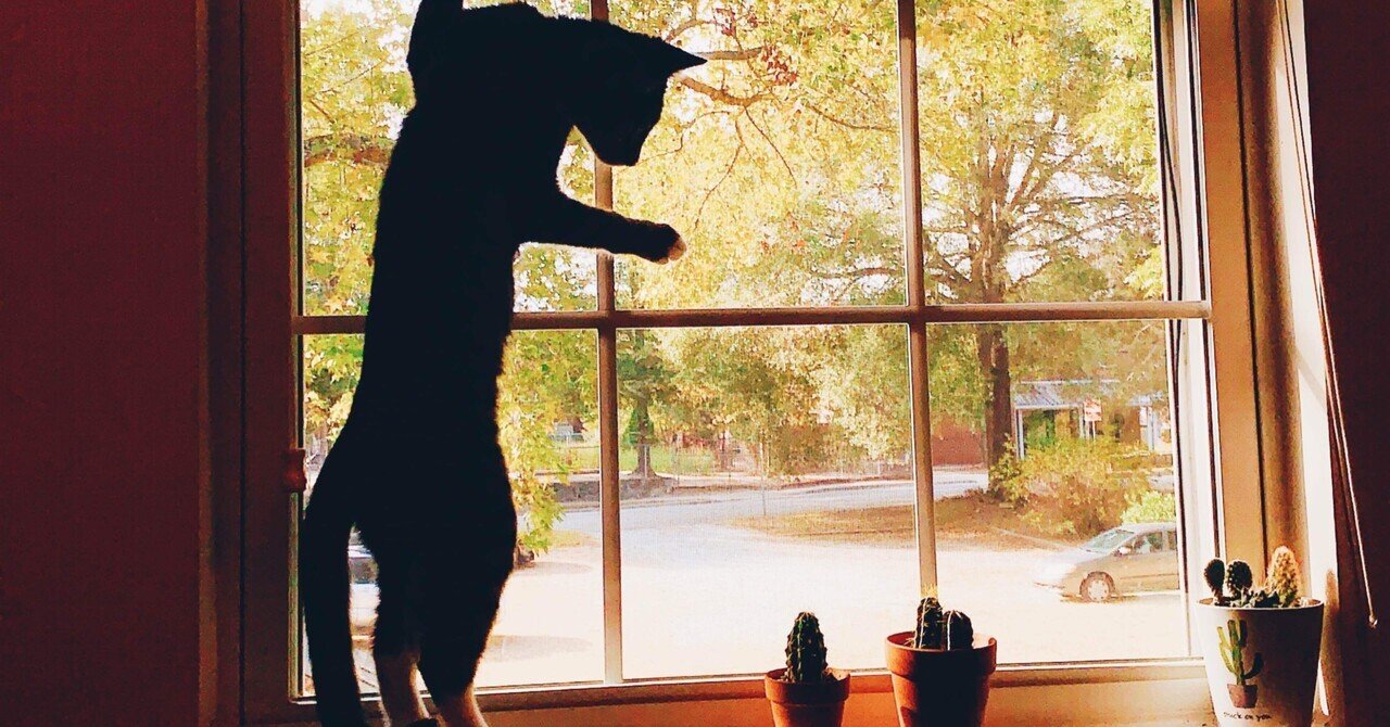 引き延ばされた時間の中で｜hiroaki｜note