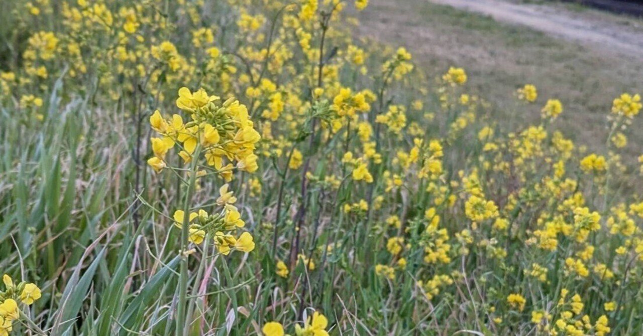 【スピリチュアルを習慣化する】②｜ayumu