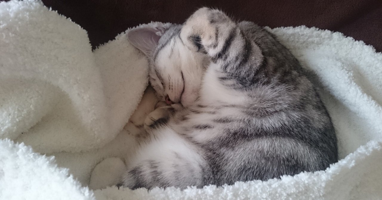 奇跡講座WB実践264 私は神の愛に包まれている｜(Linp&Ruru)本当の自分を知り、本当の自分として生きる