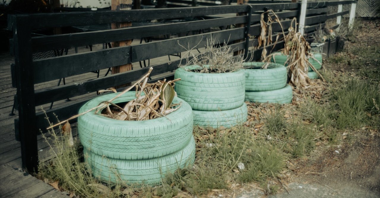 Misty morning ＜LEICA M10-P＞｜MOJA MOJA｜note