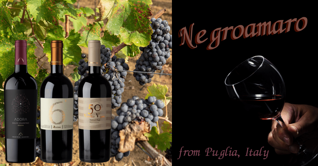 ネグロアマーロ｜AlcotradeTrust