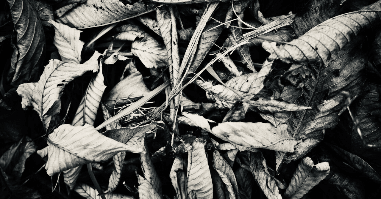 【第30回】 Contact Builder におけるリレーションシップのカーディナリティ設定（1対多など）について｜Nobuyuki ...