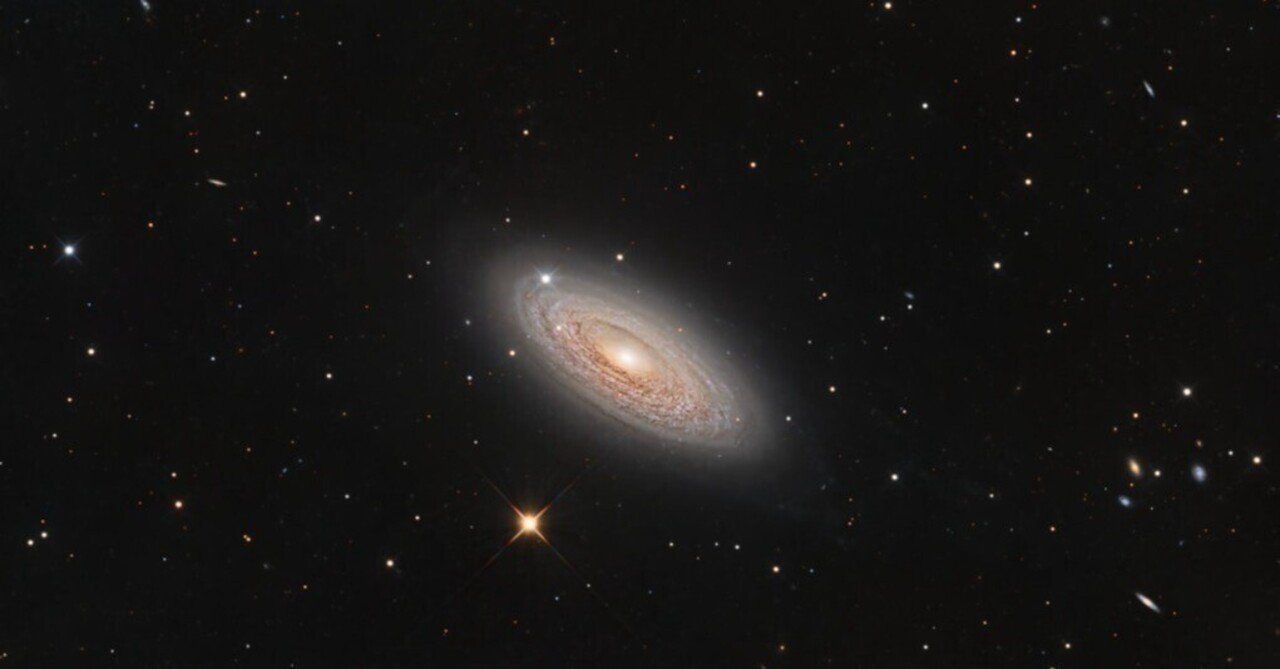 【Astronomy Picture of the Day】Spiral Galaxy NGC 2841, 2023.03.24｜岩澤康一