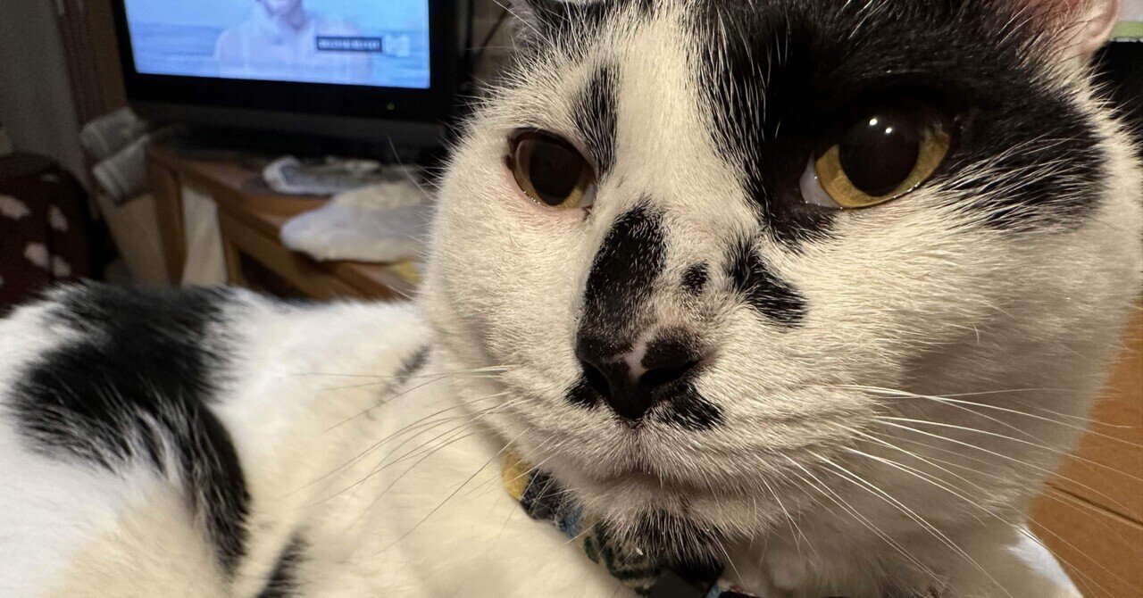 増えていく君といる時間｜ari｜note