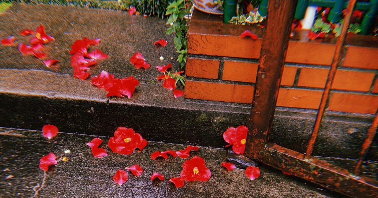 雨の日に｜sion｜note