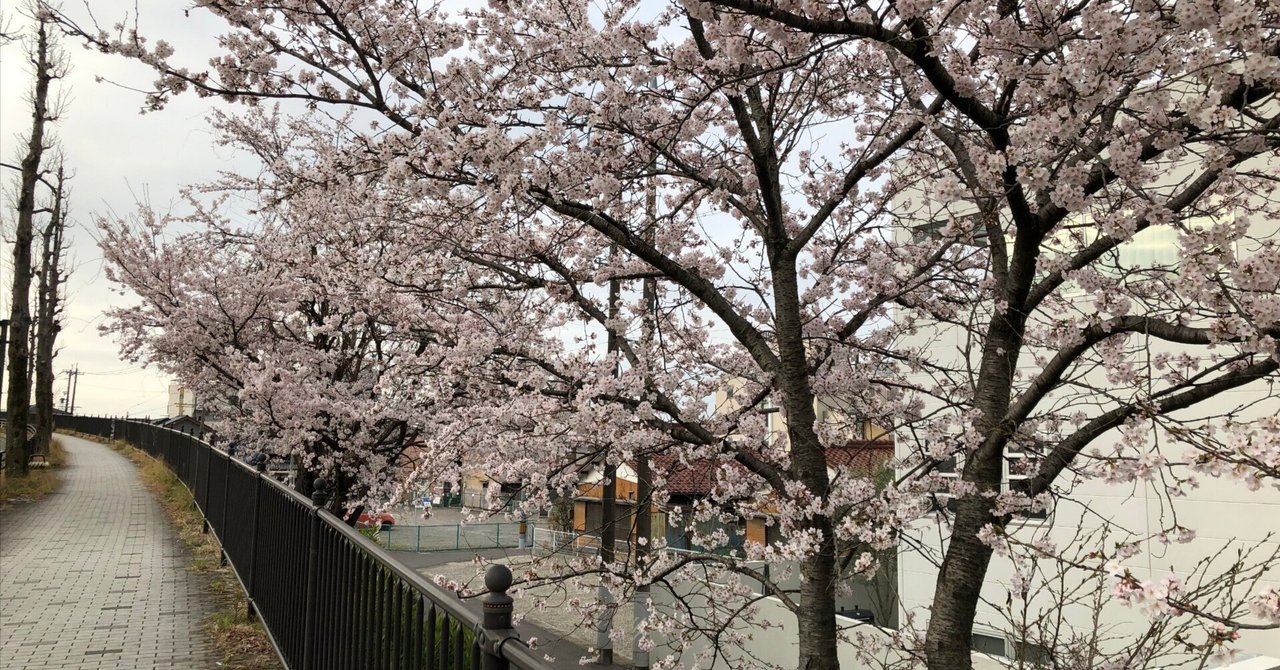 開き直っていこう｜cocoa｜note