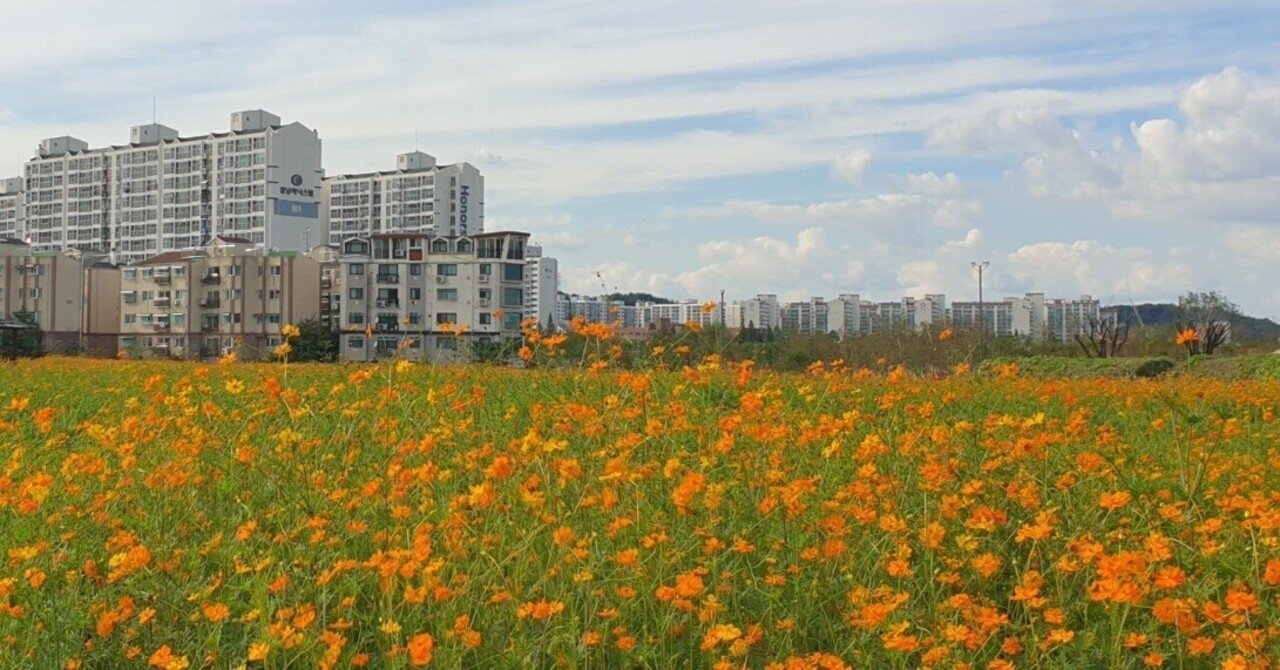 また好きでもない男と寝ようとしていた｜mako｜note