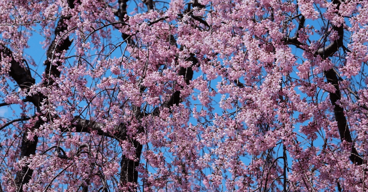 復帰に向けて｜rikua ️｜note