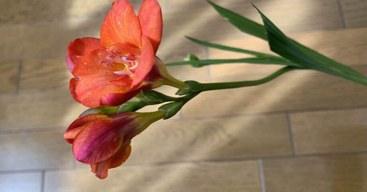 2023/03/26｜likei｜note