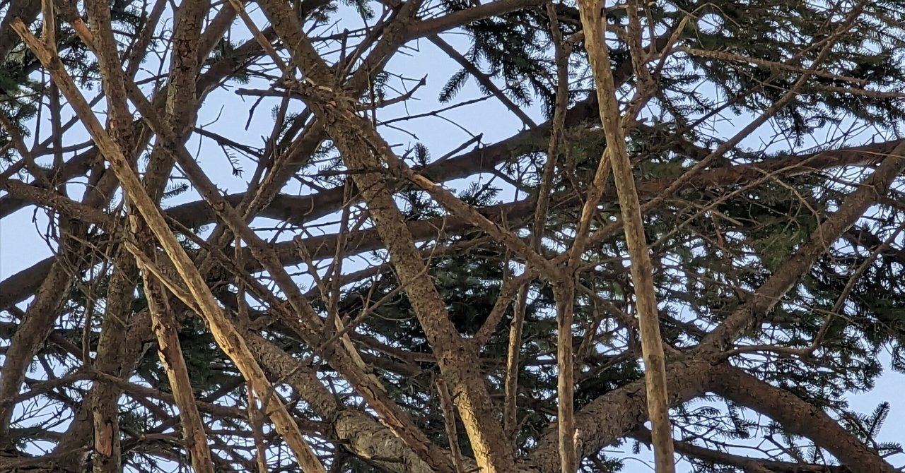 TypeScript 入門の記録（48）プロを目指す人のためのTypeScript入門（32）関数の作り方（2）｜jnkykn