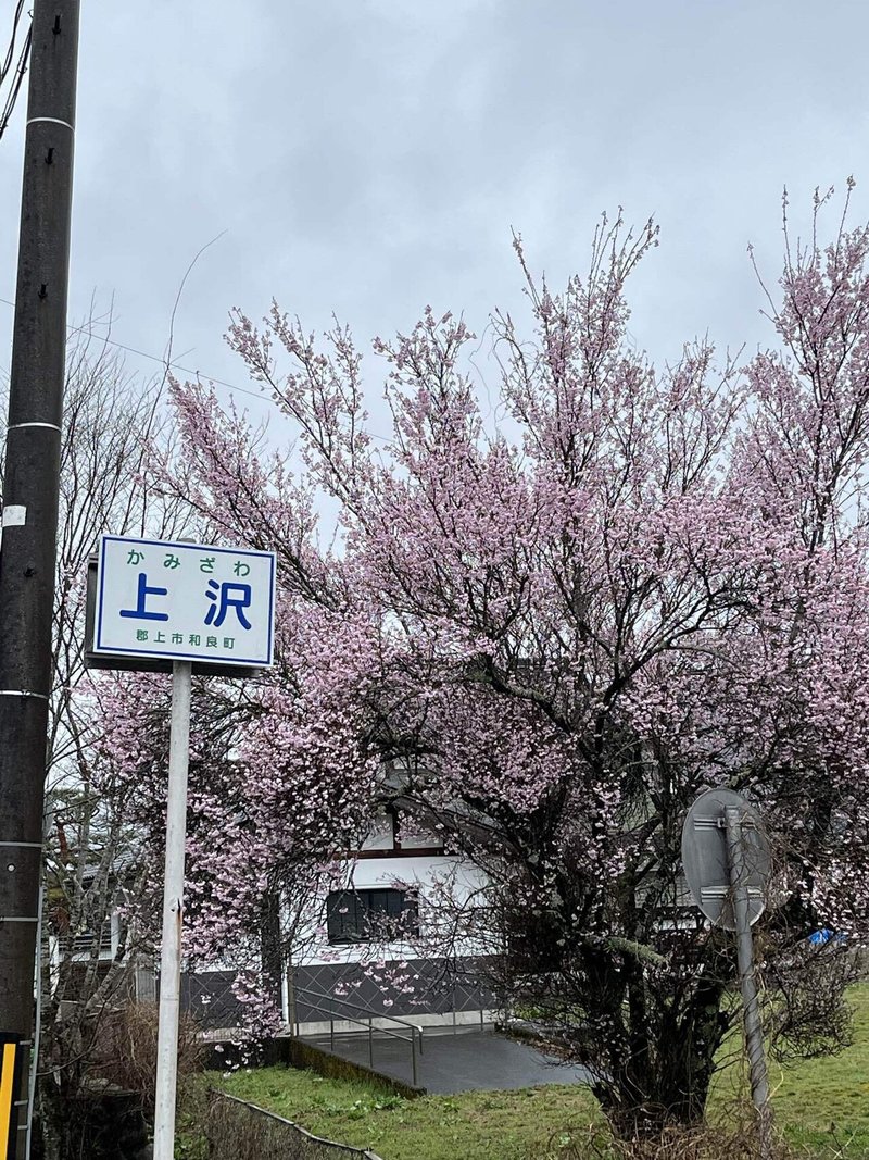 春は里から｜retugg